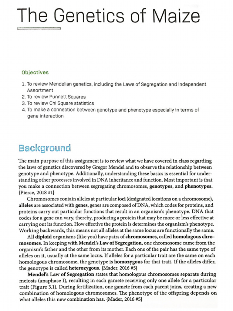 2 - Lab Manual - Genetics of Maize | PDF | Dominance (Genetics) | Genotype