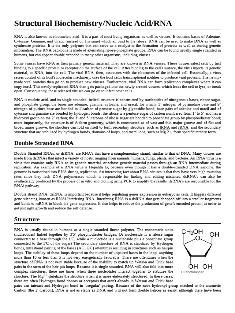 Structural Biochemistry Nucleic Acid RNA | PDF | Rna | Dna