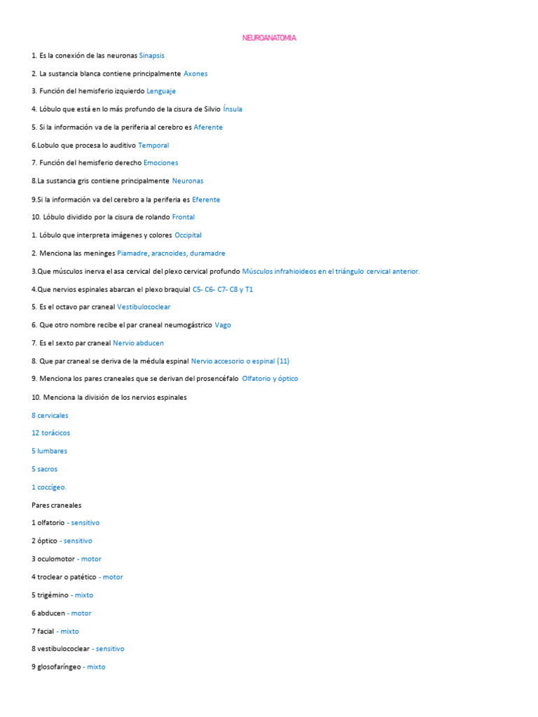Neuroanatomía: Funciones y Estructuras Clave | PDF