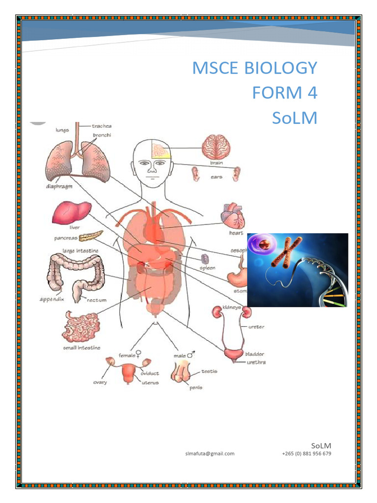 BIO FORM 4 BY SoLM | PDF | Cellular Respiration | Auxin