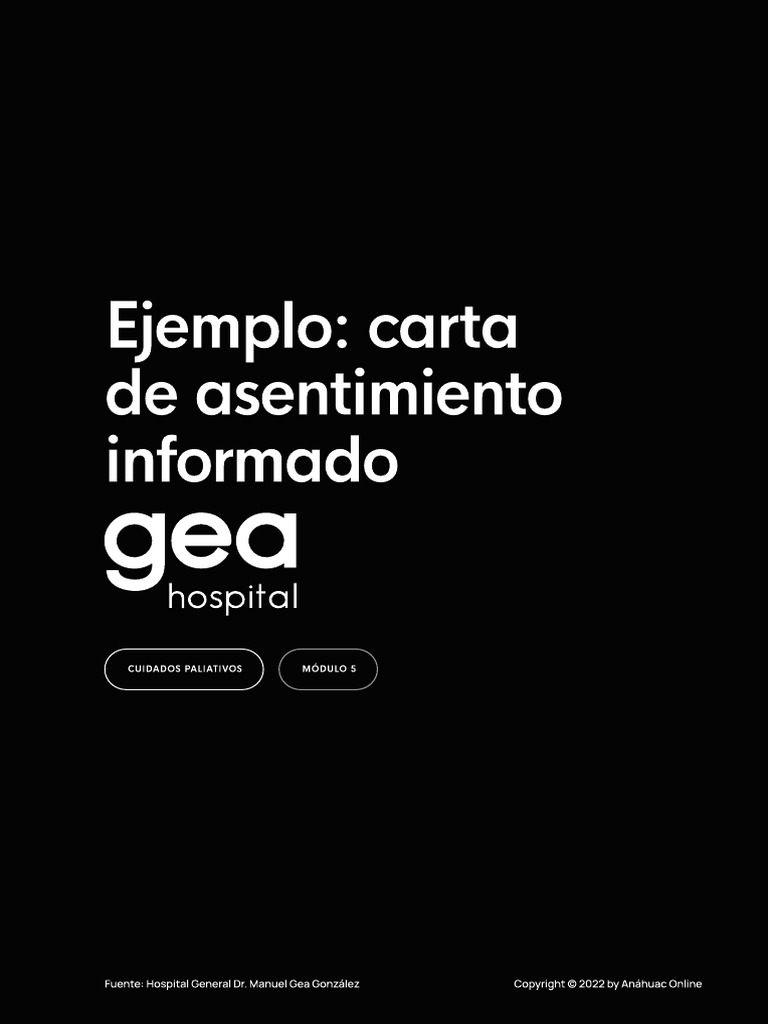 Ejemplo - Carta de Asentimiento Informado | PDF