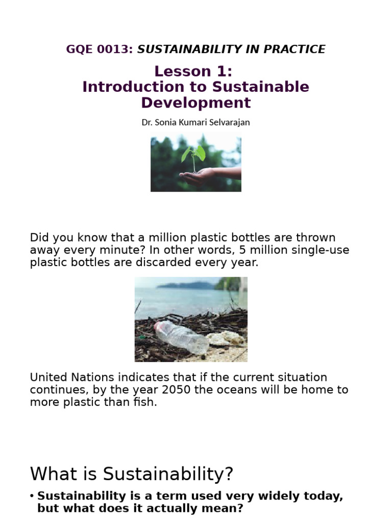 Sustainable Development Basics | PDF | Sustainability | Sustainable ...