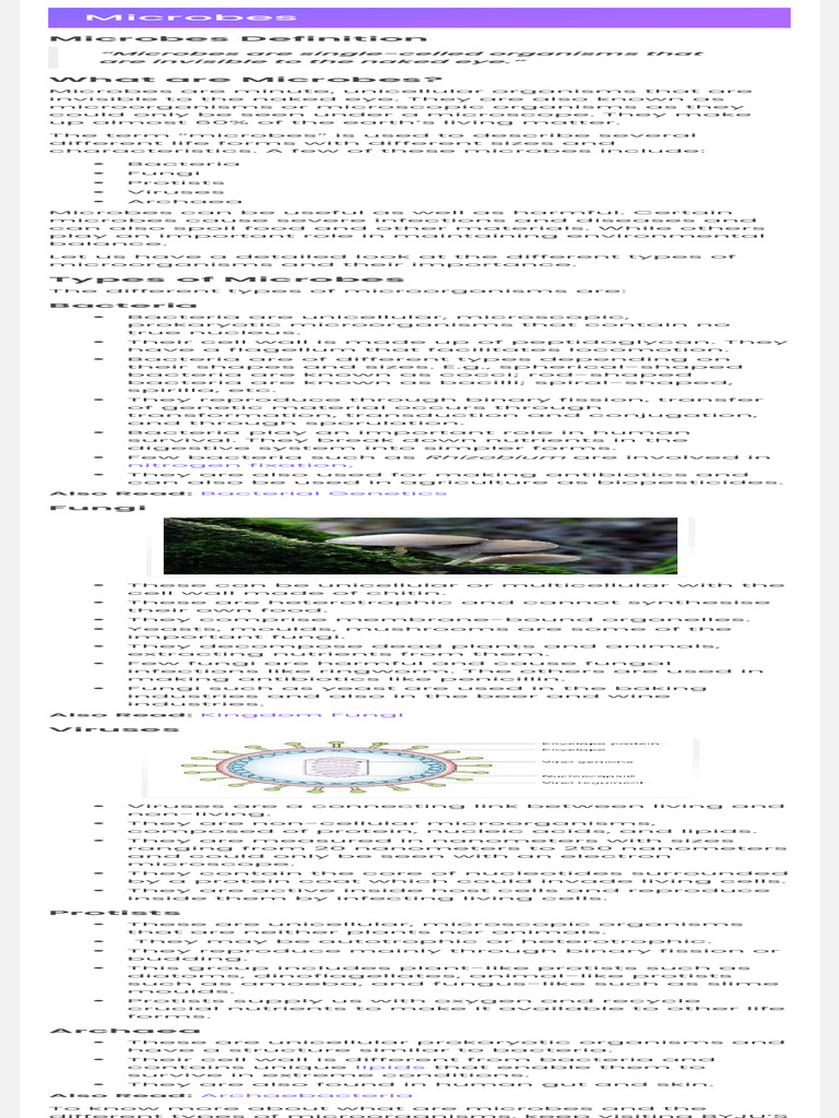What Are Microbes - Definition, Types, Examples of Microorganisms 2 ...
