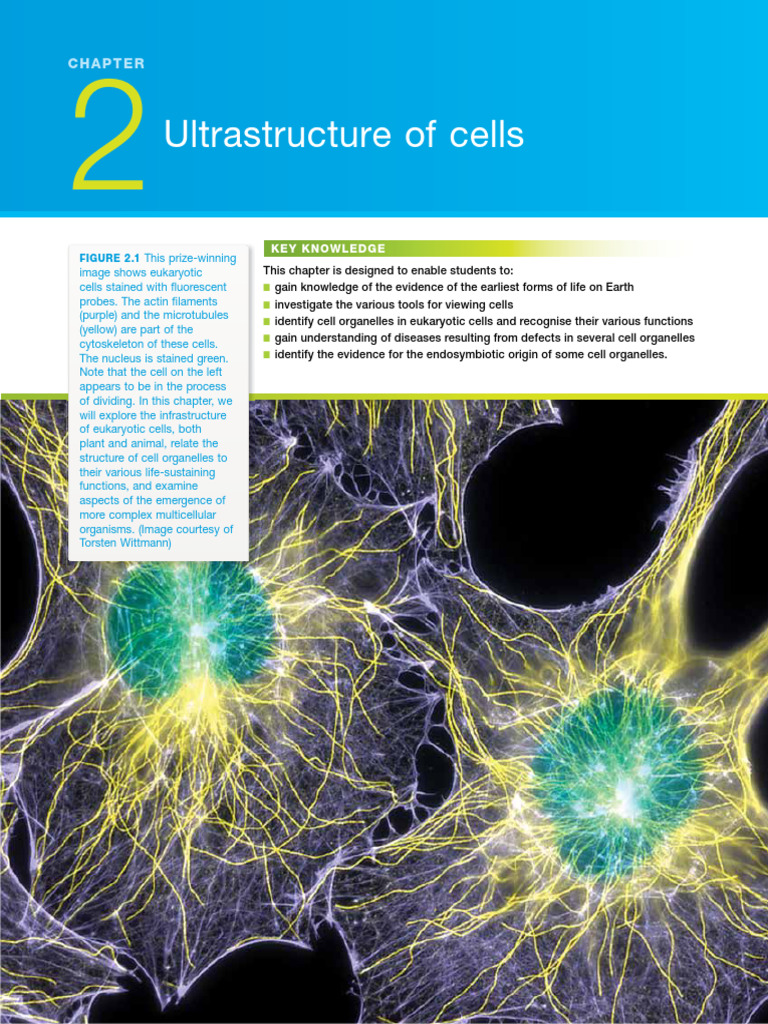 NoB_1_VCE_5E_c02 - Ultrastructure of Cells | PDF | Microscope | Cell Wall