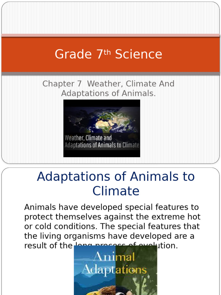 Grade 7th Science | PDF