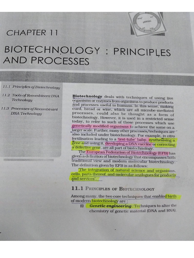Biotechnology Ch 11 | PDF