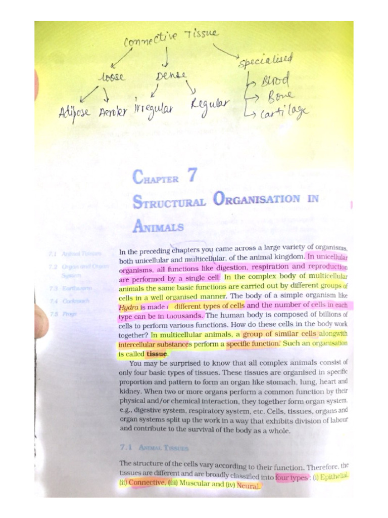 ch 7 structural organisation | PDF