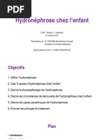 Syndrome de la Jonction Pyelo-Uréterale | PDF | Rein | Spécialités ...