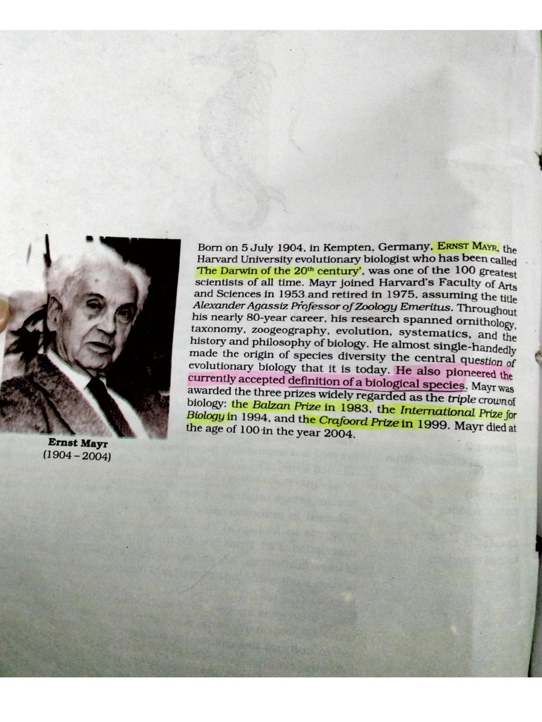 The Living W? RLD | PDF