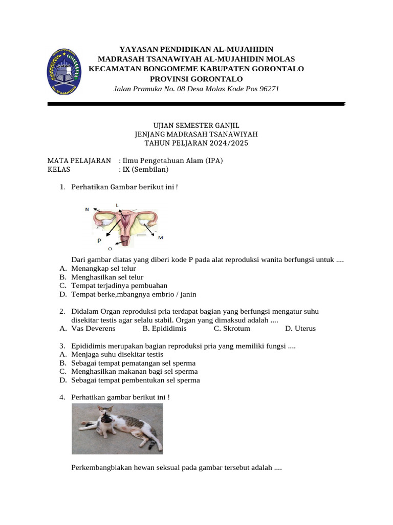 Soal Ulangan Ganjil Kls 9 Mts Isimu 2024 | PDF