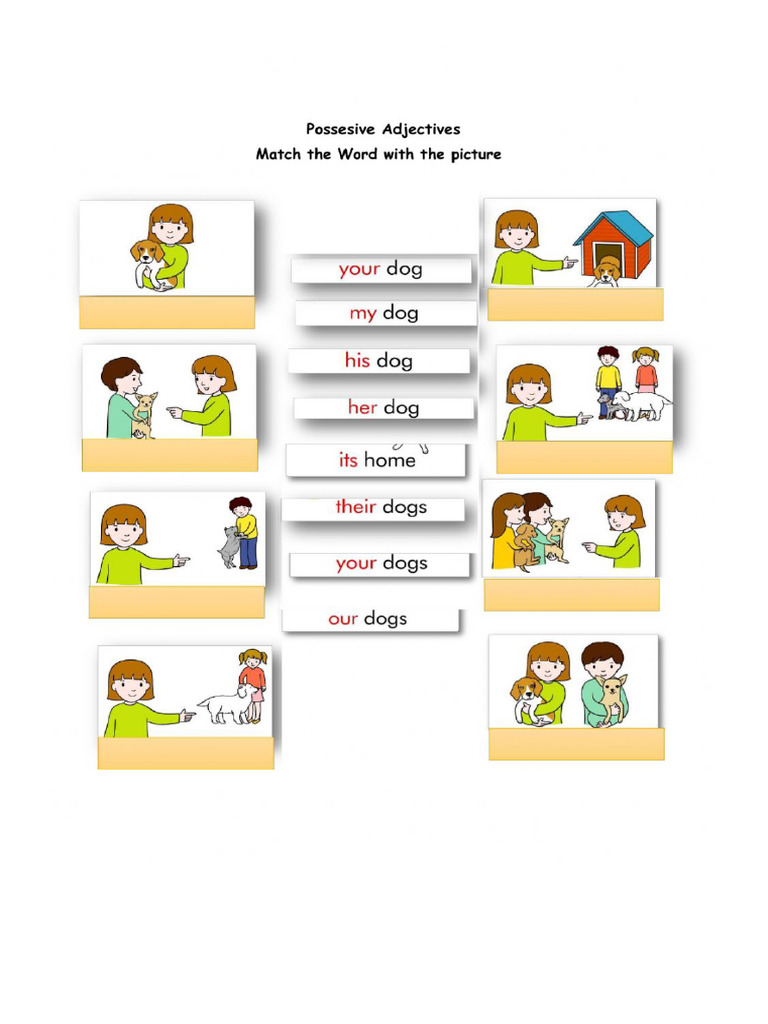 AS2 - U3 - Possessive Adjectives | PDF