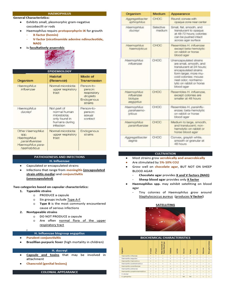 Haemo Borde | PDF | Public Health | Immunology