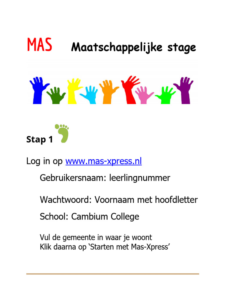 MAS Stappenplan | PDF