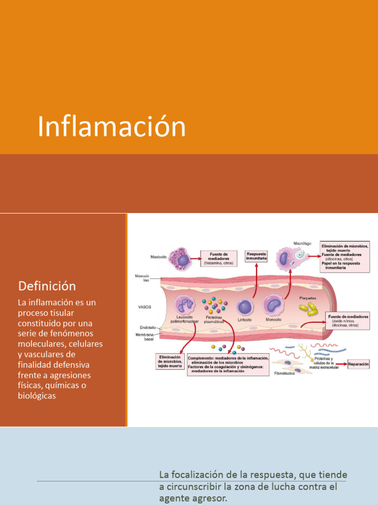Inflamación Tipos | PDF | Inflamación | Sistema complementario