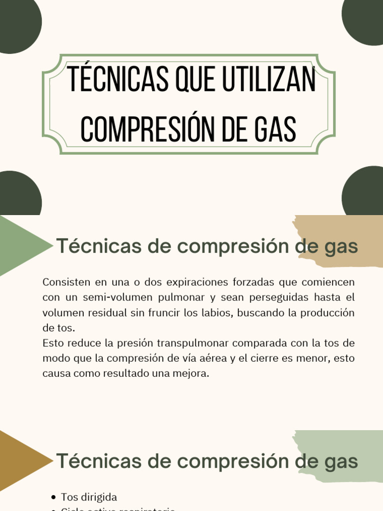 Técnicas de Compresión de Gas | PDF