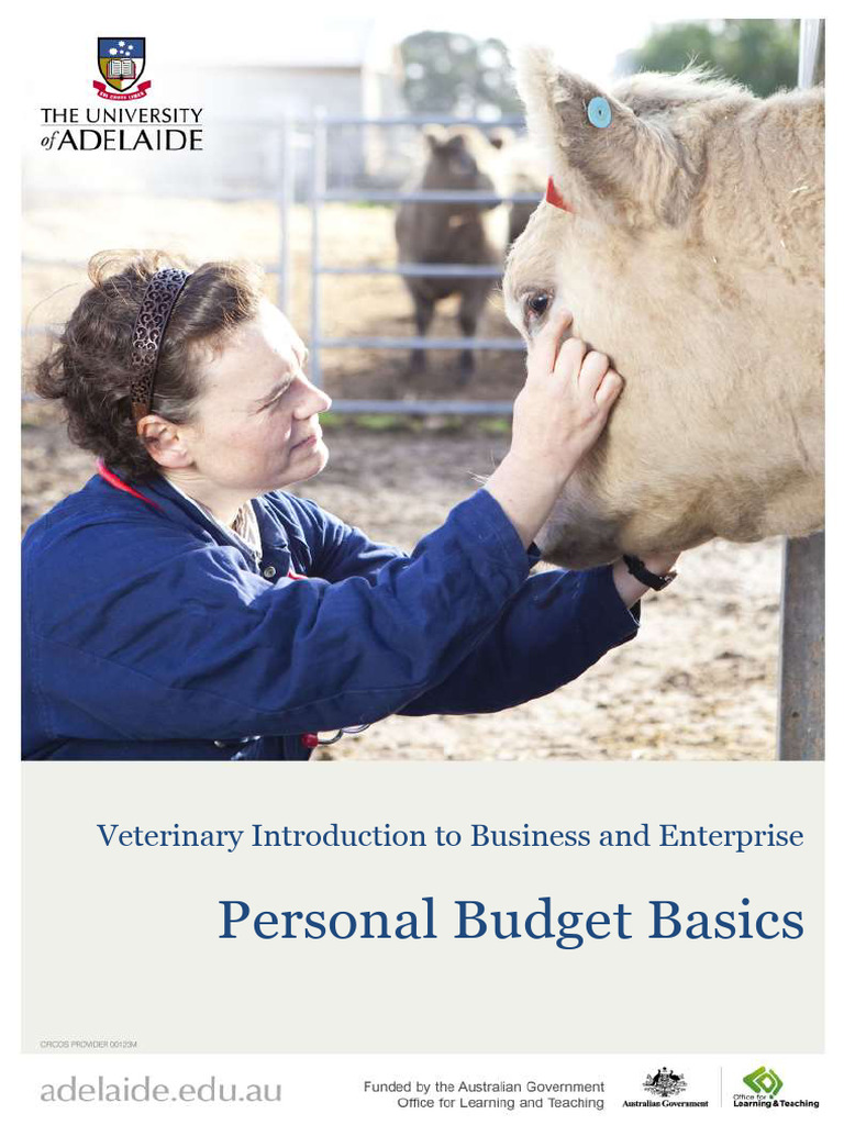 Vibe Personal Budget Basics | PDF | Expense | Budget