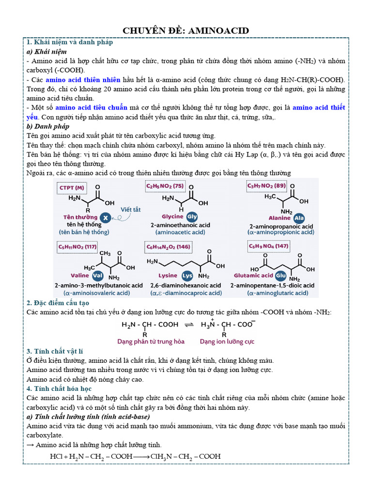 BT B Sung Aminoaid | PDF
