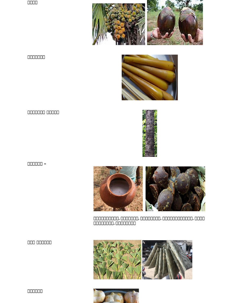 Pannai | PDF