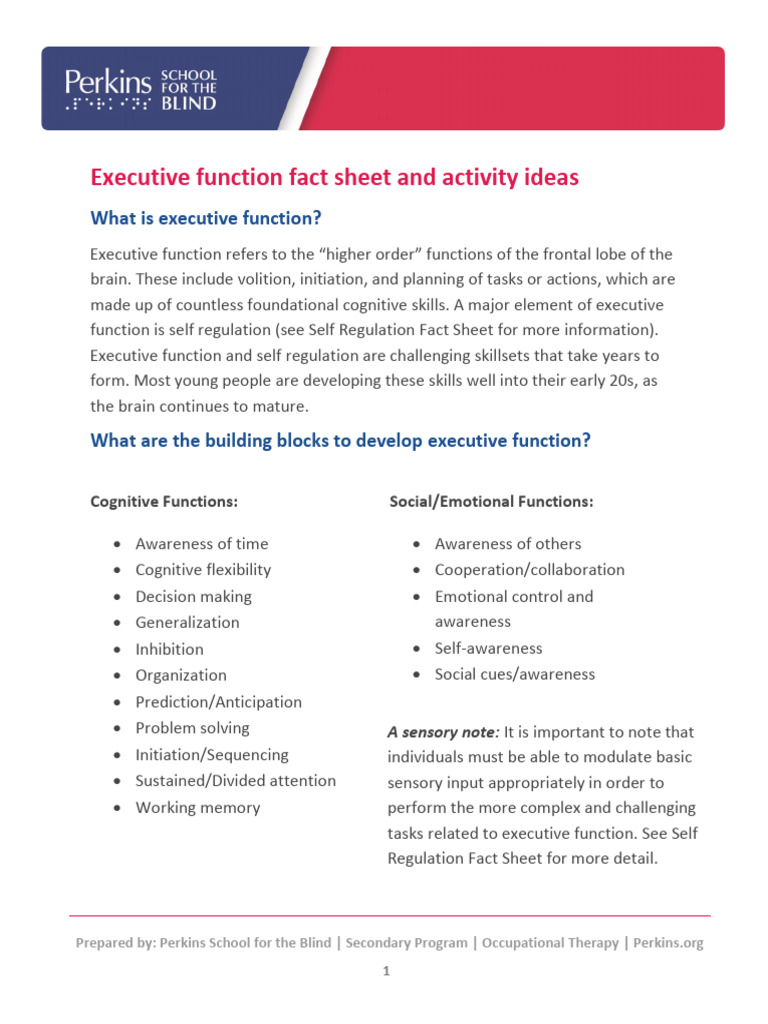 Executive Function Fact Sheet and Activity Ideas | PDF | Executive Functions | Emotional Self ...