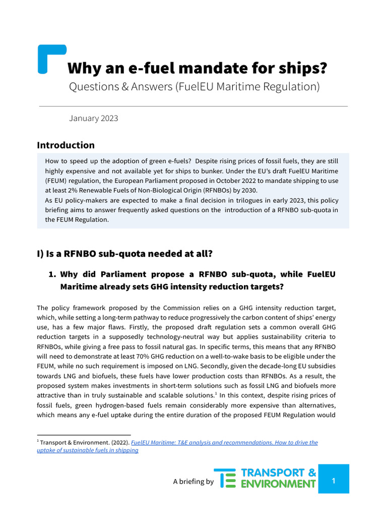 TE Briefing Why An e Fuel Mandate For Shipping | PDF | N Ox | Biodiesel