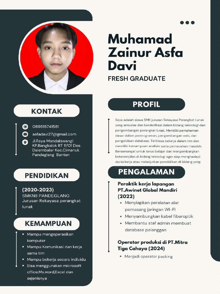 CV M.Zainur Asfa Davi | PDF