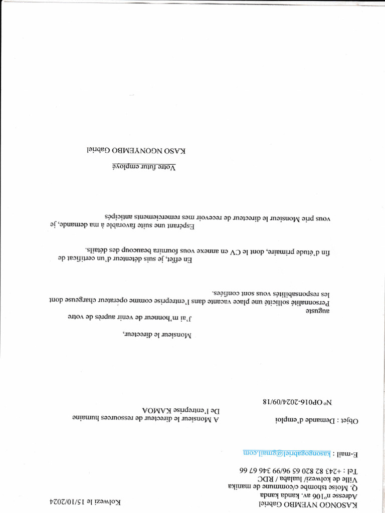 Kasongo Nyembo | PDF