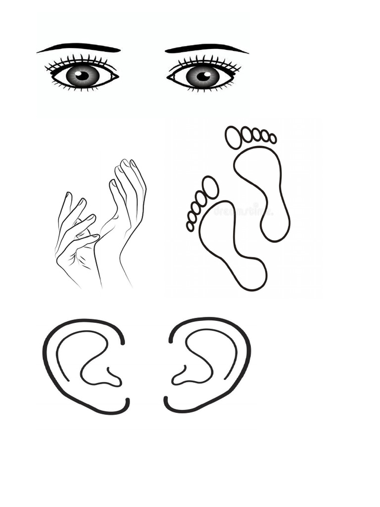 ochi urechi maini | PDF
