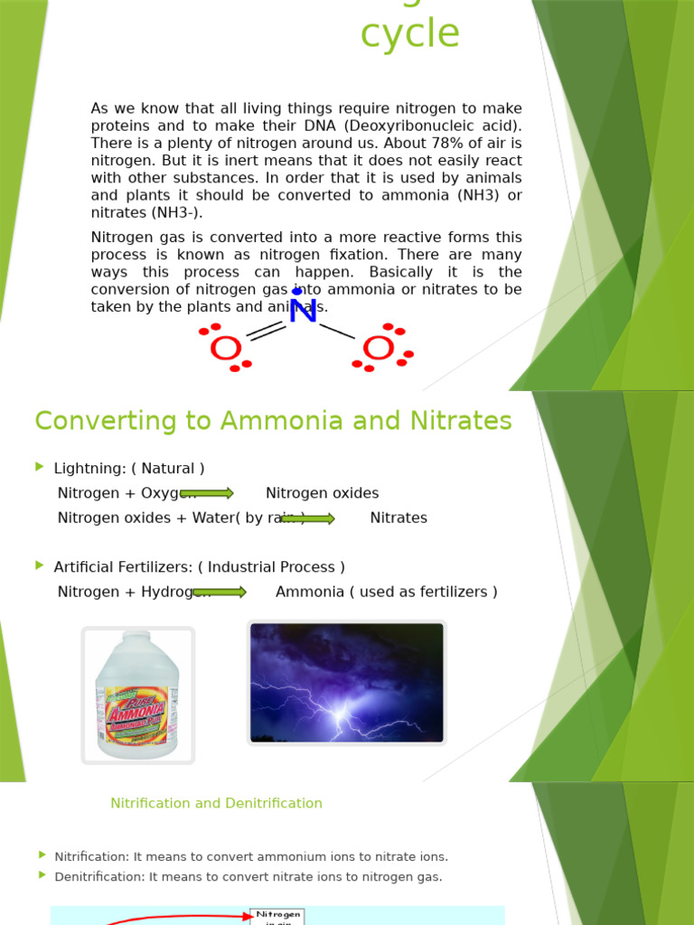 The Nitrogen Cycle | PDF