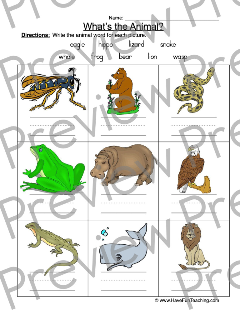 Animal Names Worksheet 1 Preview | PDF