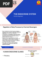 GR 12 LS Topic 7 - Human Endocrine System and Homeostasis | PDF ...