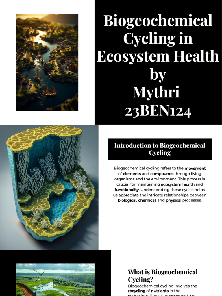 Biogeochemical Cycling in Ecosystem Health | PDF | Ecosystem | Carbon Cycle