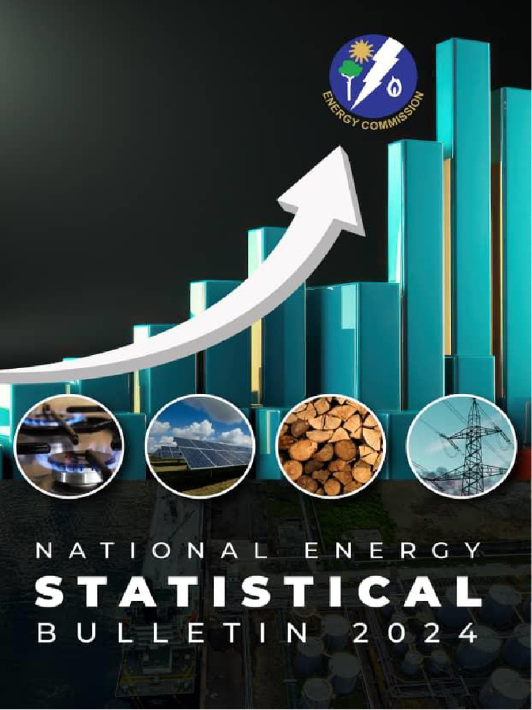 National energy statistical bulletin 2024 | PDF | Barrel (Unit) | Petroleum