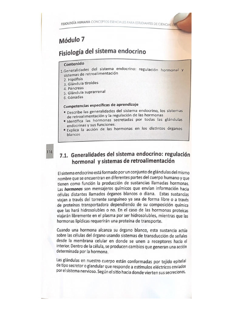 Módulo 7 | PDF
