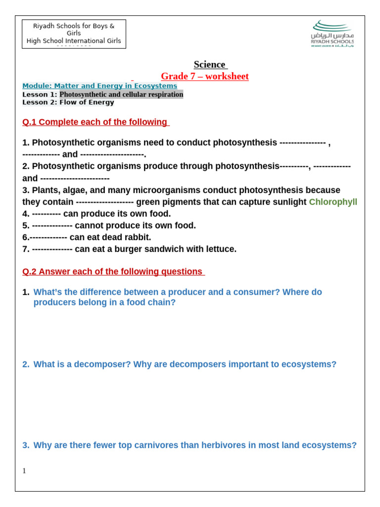 Grade 7 worksheet-REVISION | PDF