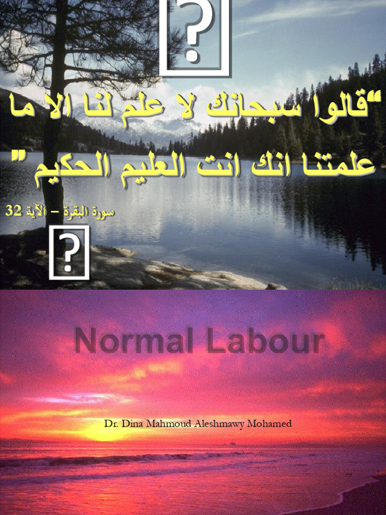 Normal Labour-1 | PDF | Childbirth | Clinical Medicine