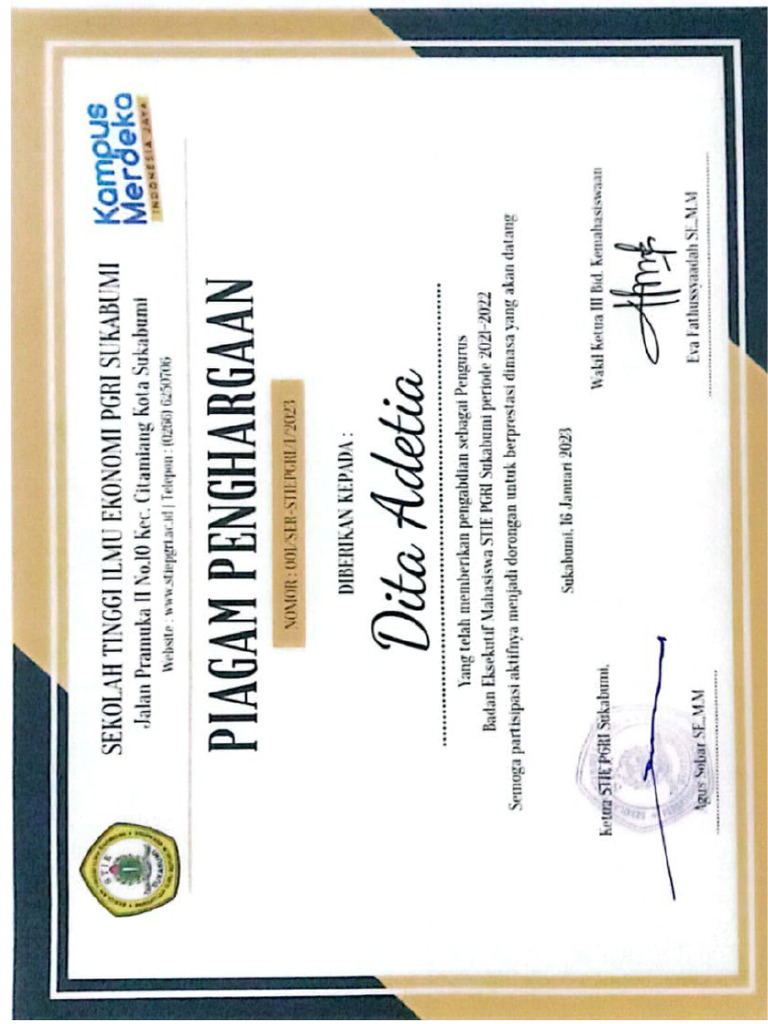 Sertifikat Organisasi Dita | PDF