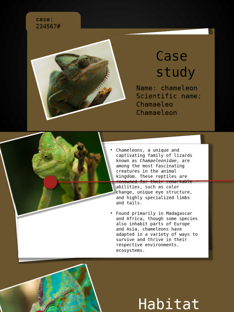 Chameleon | PDF