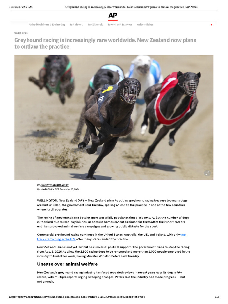 Greyhound Racing Is Increasingly Rare Worldwide. New Zealand Now Plans ...