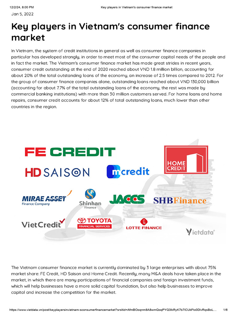 Key Players in Vietnam's Consumer Finance | PDF | Credit | Finance ...