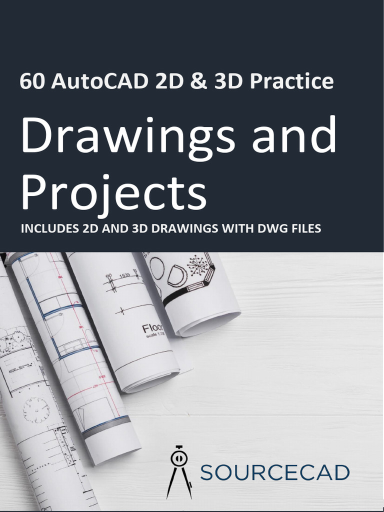 2d-and-3d | PDF | Autodesk | Auto Cad