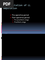 PPAM Aid: A Guide for Amputees | PDF | Amputation | Prosthesis