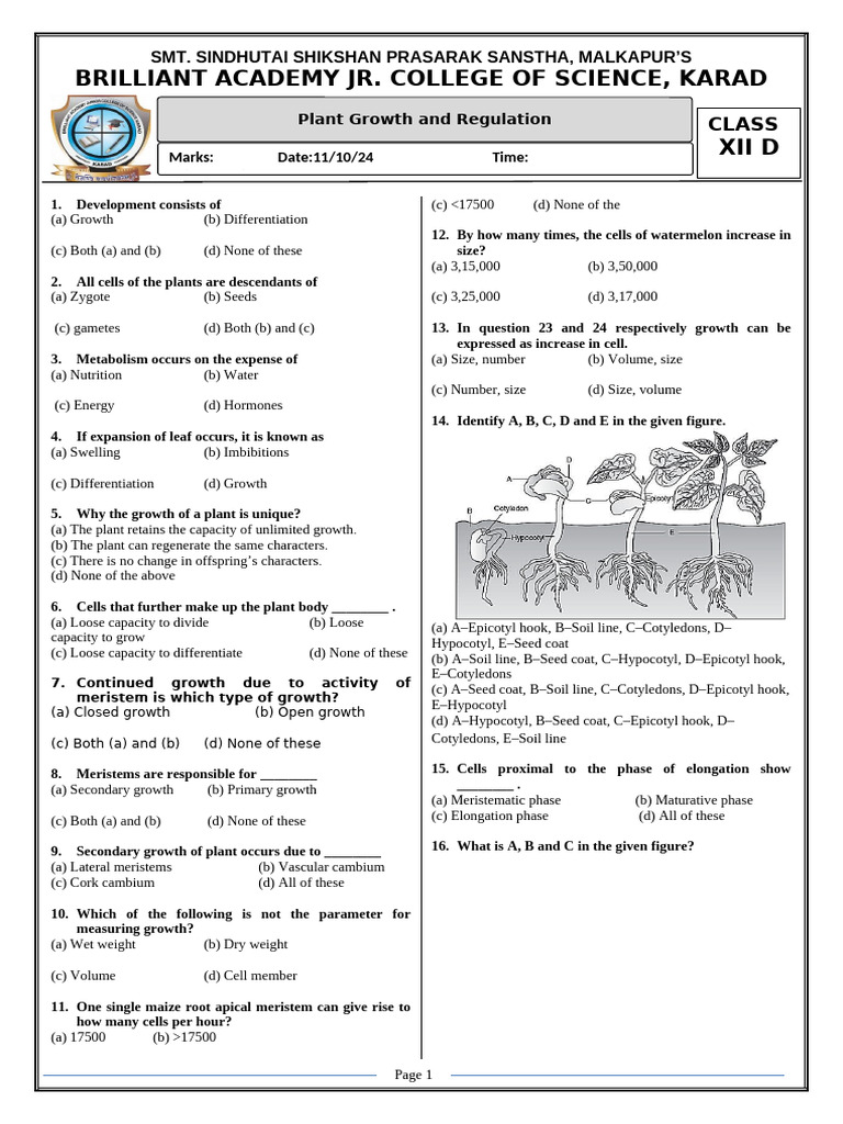Plant Growth and Development Quiz | PDF | Plant Hormone | Auxin