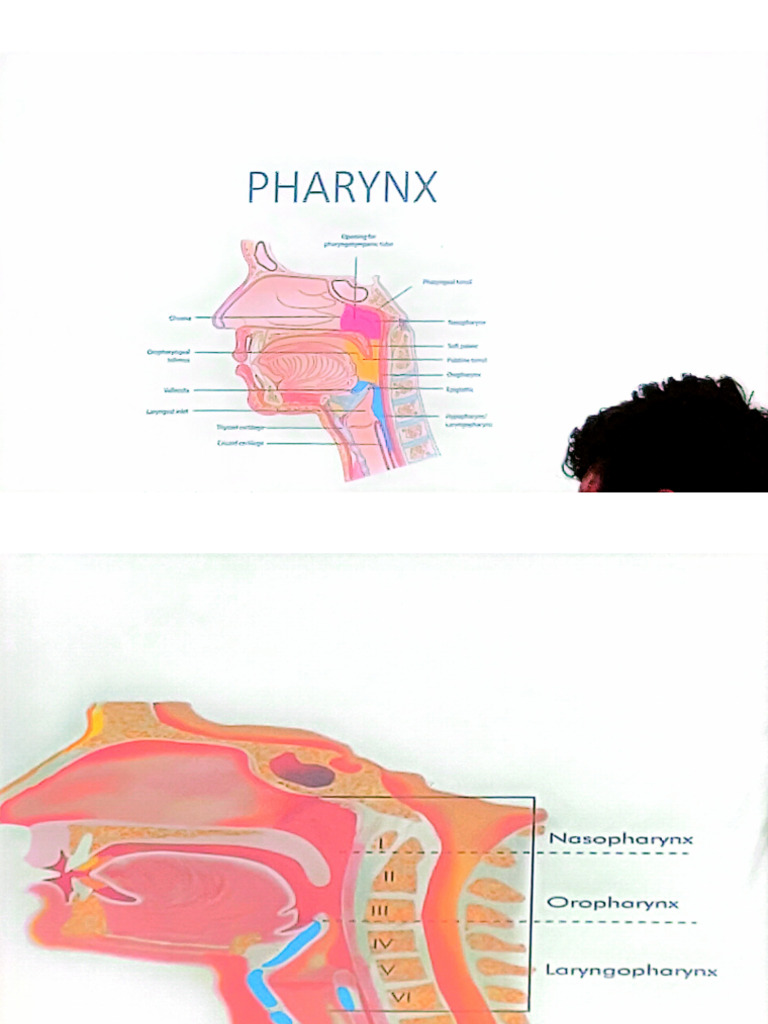 Sujit Sir Throat 1 | PDF