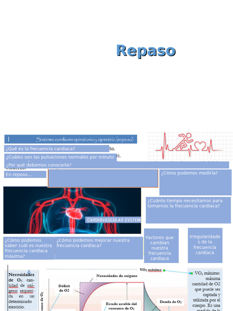 Repaso Cfca 1º Bach | PDF | Ritmo cardiaco | Obesidad