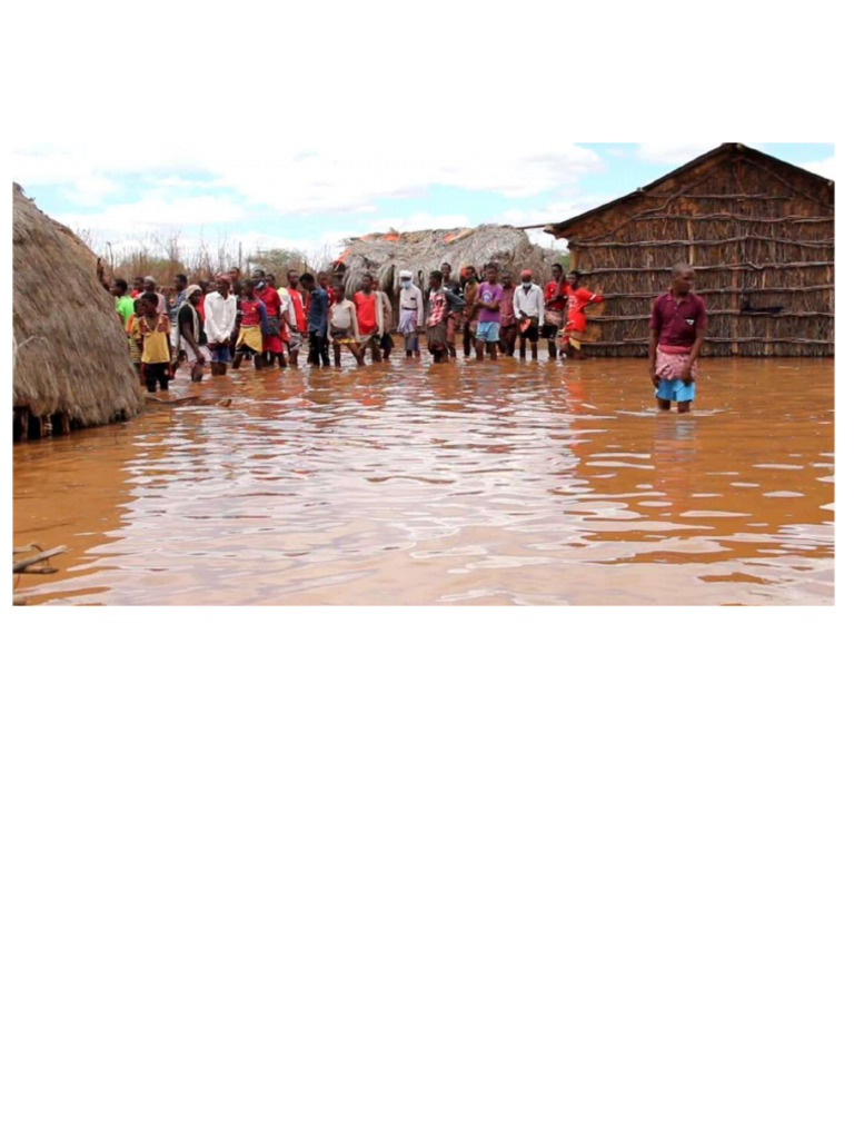 Post-Disaster Damage Assessment Guide | PDF | Natural Disasters ...