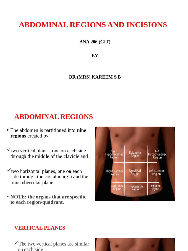 Types and Indications of Abdominal Incisions | PDF | Abdomen