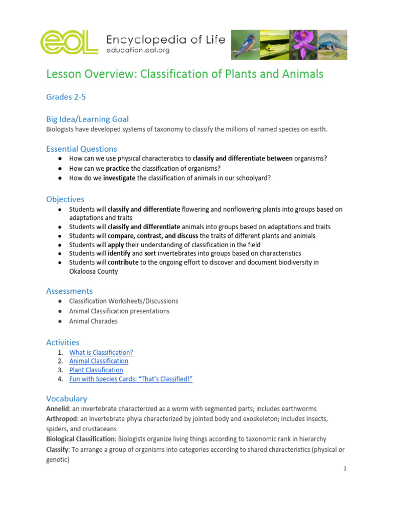 Plant and Animal Classification Guide | PDF | Taxonomy (Biology ...