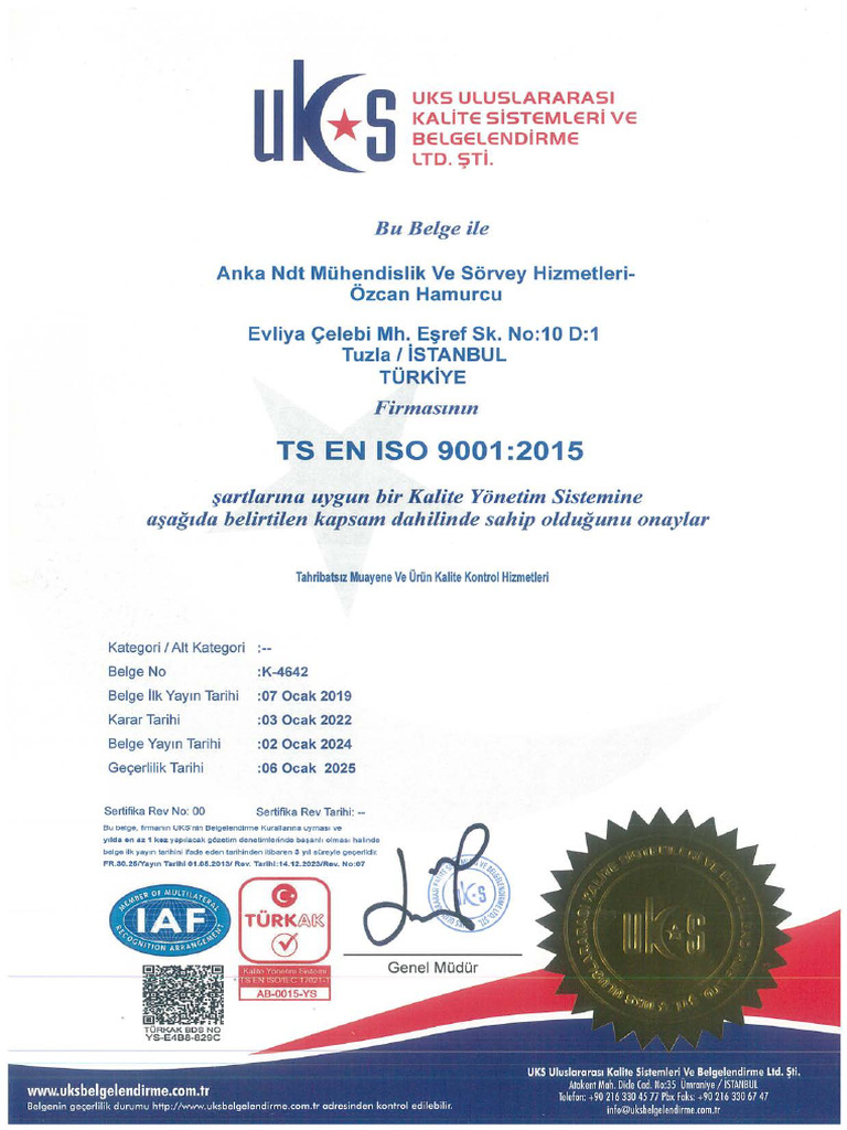 ISO9001 | PDF