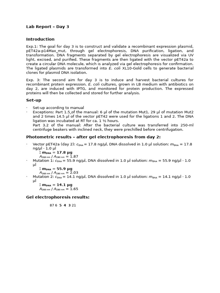Biochemistry Lab Report Day 3 | PDF | Plasmid | Dna Ligase
