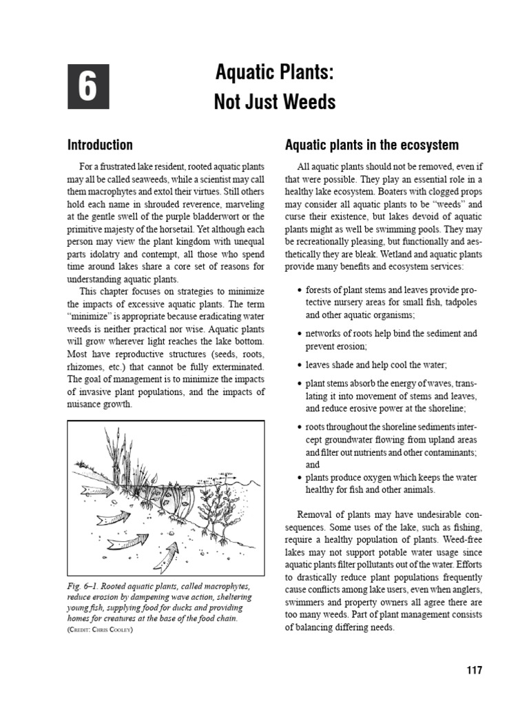 Managing Aquatic Plants in Lakes | PDF | Invasive Species | Wetland